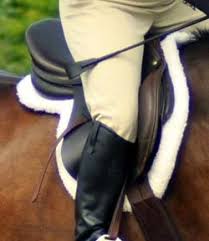 Hunter/Shaped Pads – Calgary Saddlery