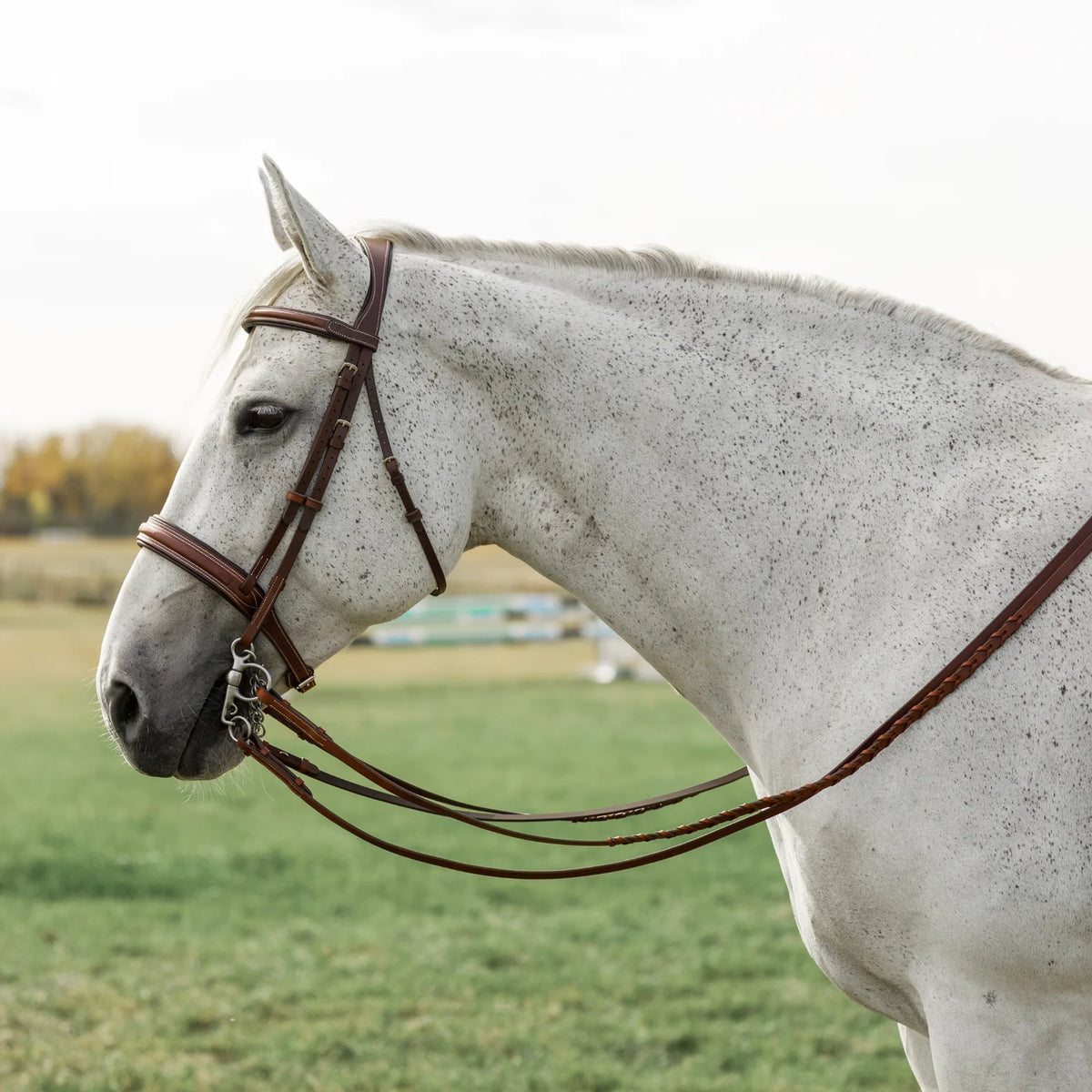 COMMONWEALTH - Hunter Bridle – Calgary Saddlery